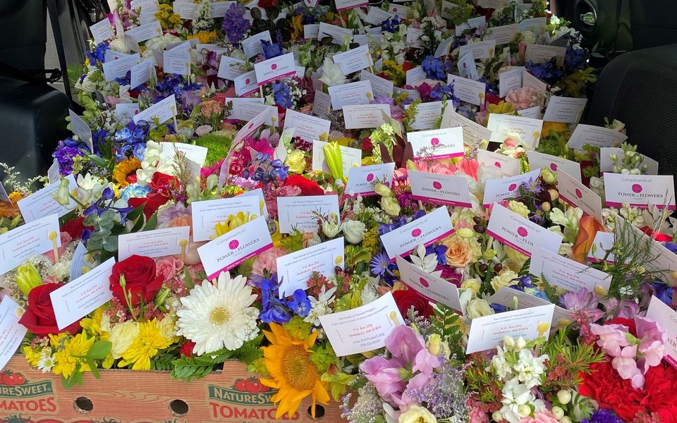 Inside the Power of Flowers Project - InsideLowell