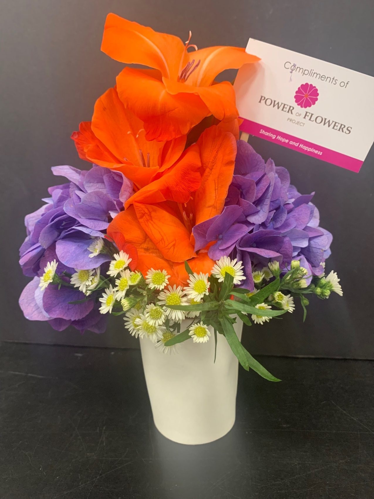 Inside the Power of Flowers Project - InsideLowell