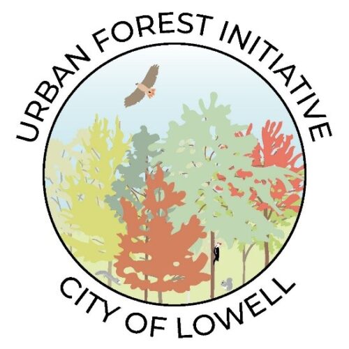 The Future of Trees in Lowell - InsideLowell