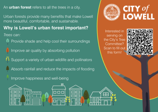The Future of Trees in Lowell - InsideLowell