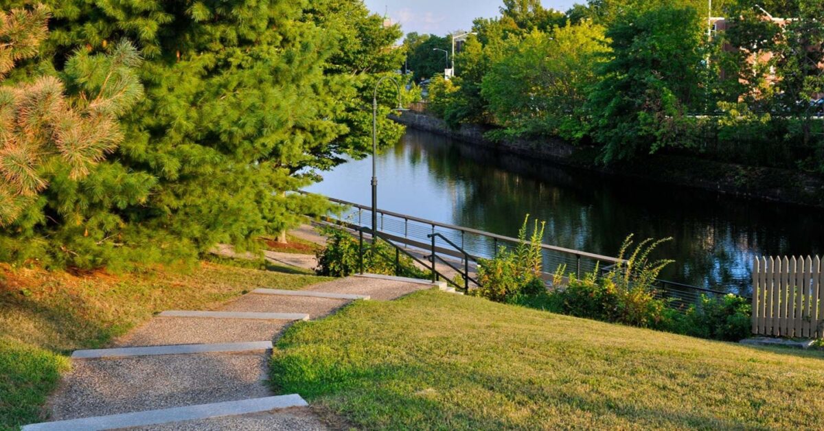 The Future of Trees in Lowell - InsideLowell